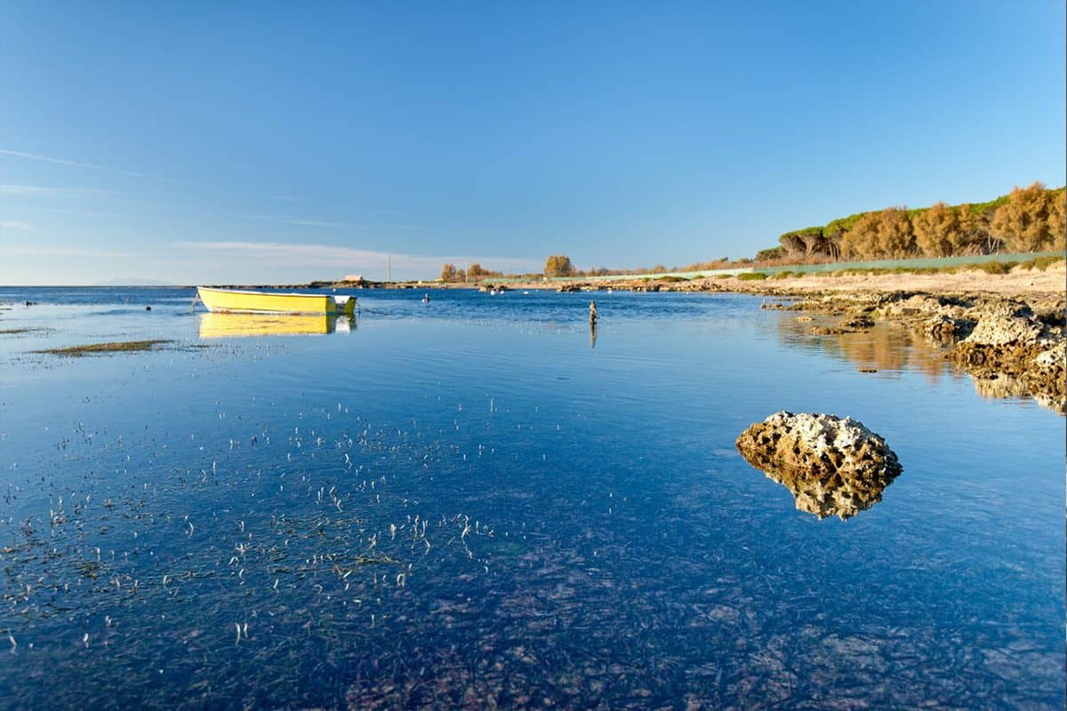 Frasca di Civitavecchia - Roma