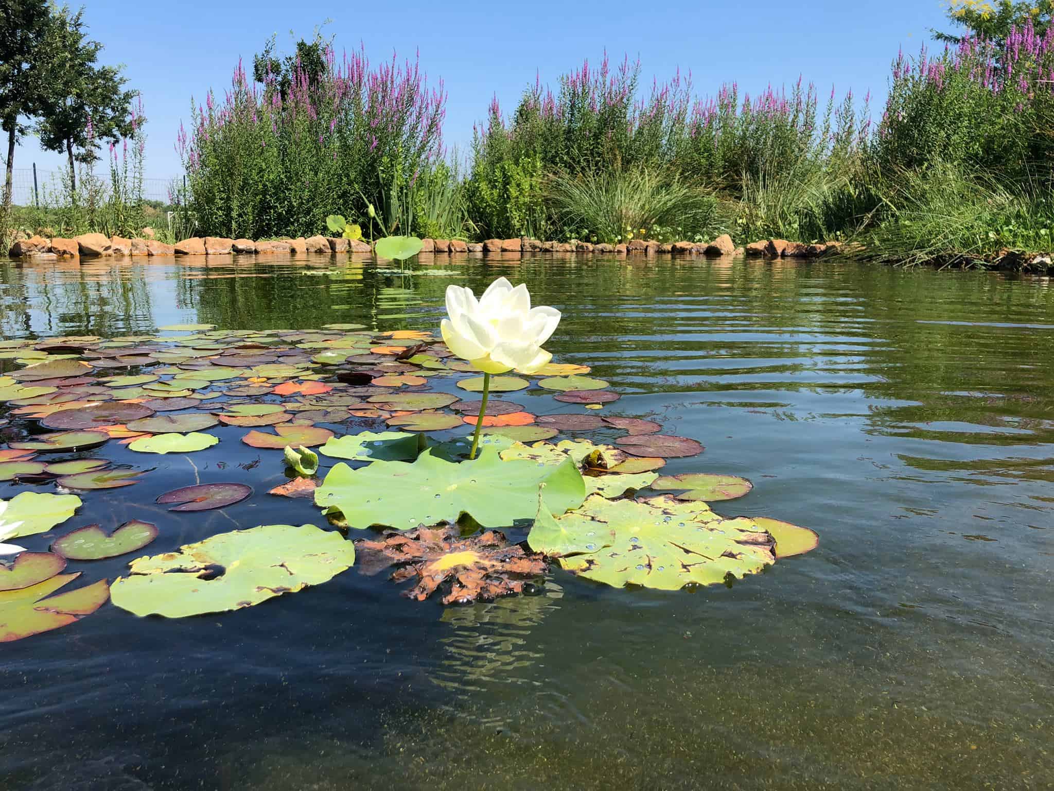 Parco Della Mistica - Roma