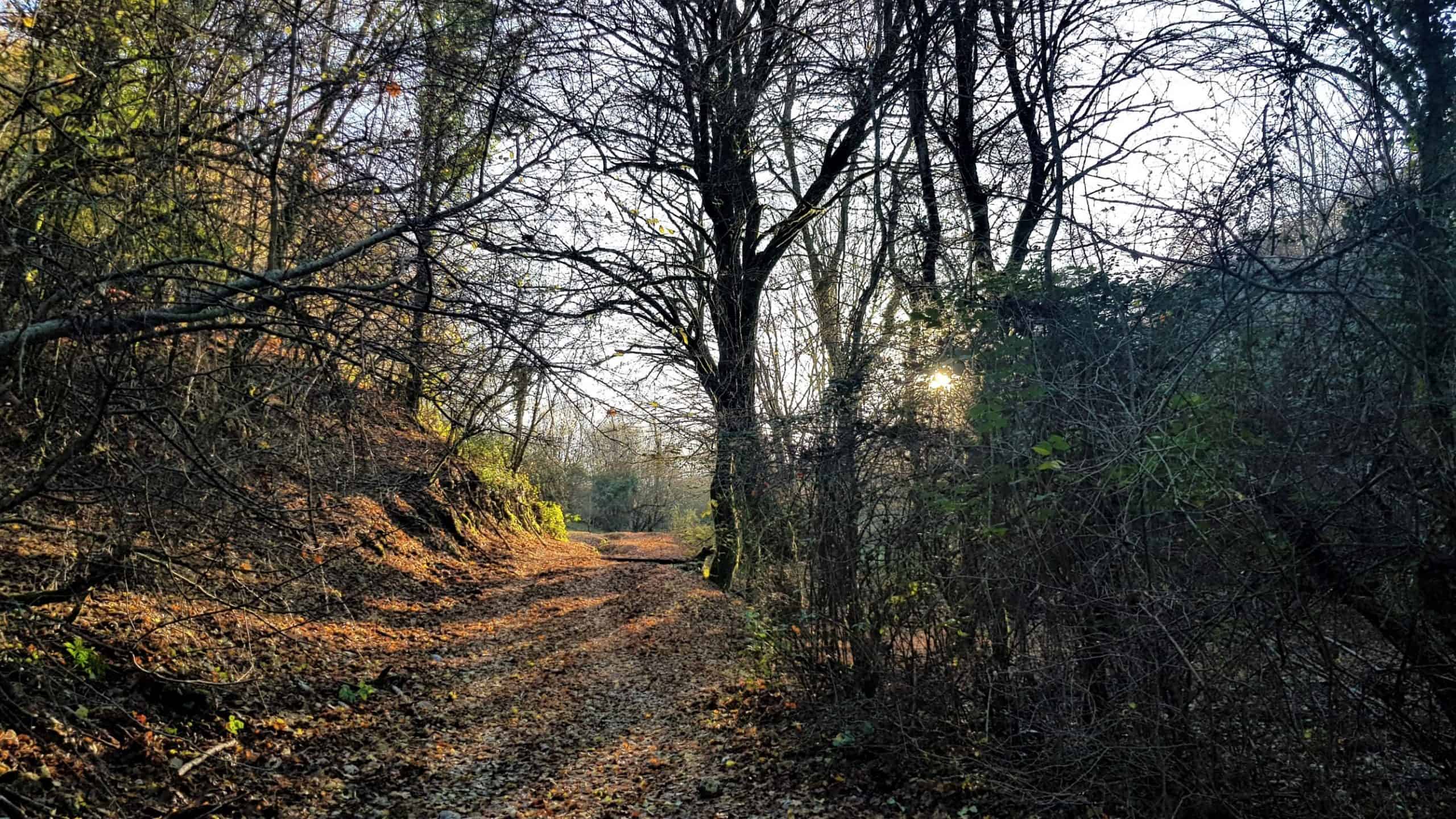 Parco Naturale Regionale dei Monti Lucretili - Roma