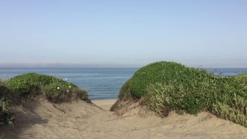 Capocotta (RM) - Roma